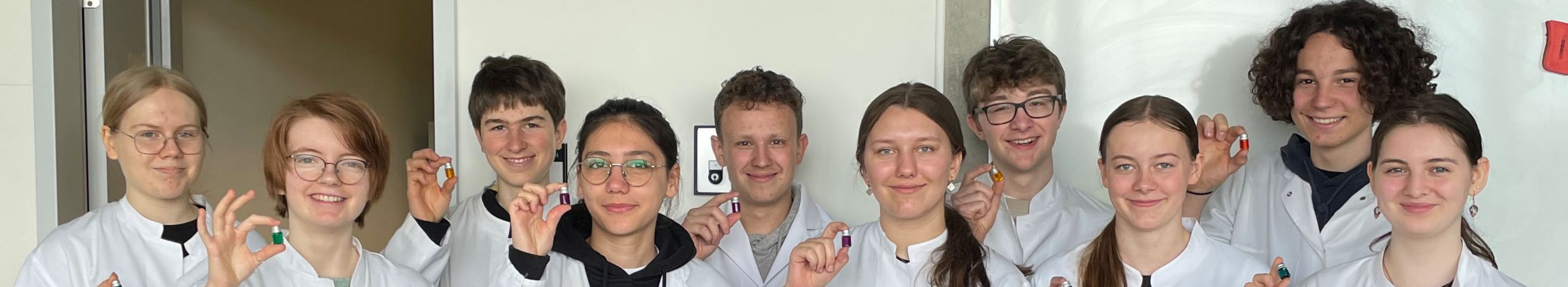 Lisa und die Gentechnik » Gymnasium der Stadt Lennestadt